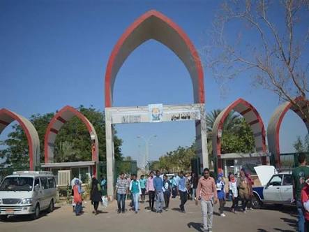 جامعة أسوان تشارك فى أسبوع شباب المدن الجامعية بالسويس