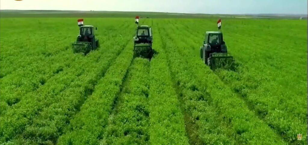 خريطة جديدة الزراعة مستقبل مصر مشروع واعد يحقق الاكتفاء الذاتى من المحاصيل